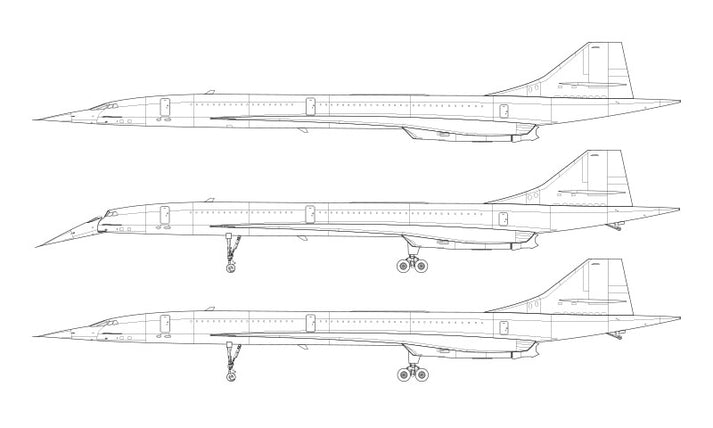 Aérospatiale-BAC Concorde line drawing – ShopNorebbo